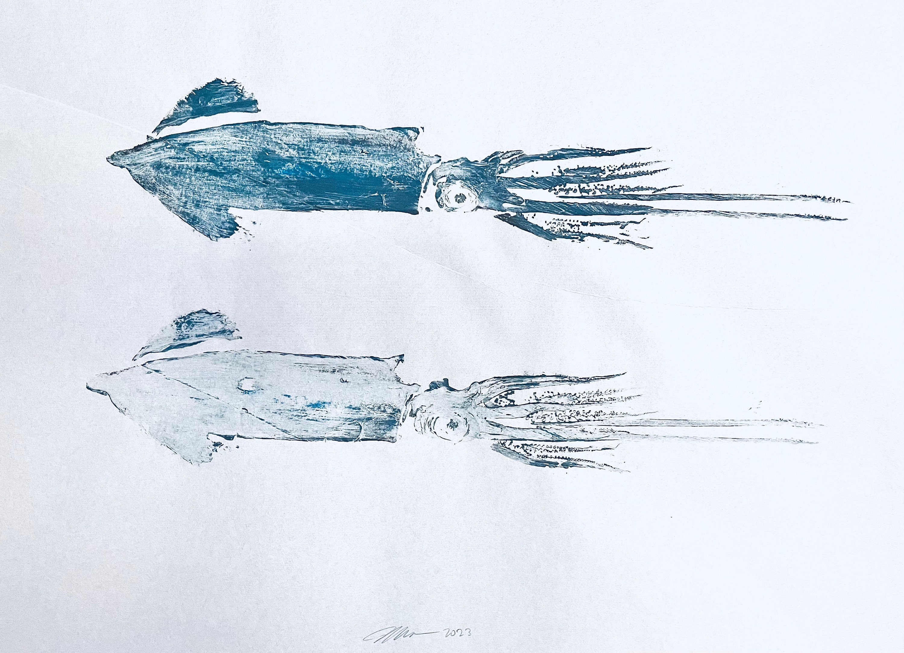 Squid Gyotaku Fish Print- Squid Shadow - Etsy