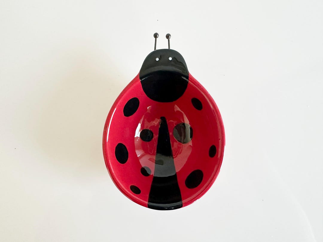 Ladybug Cache Dish With Metal Antennae Small Ceramic Bowl Vintage - Etsy