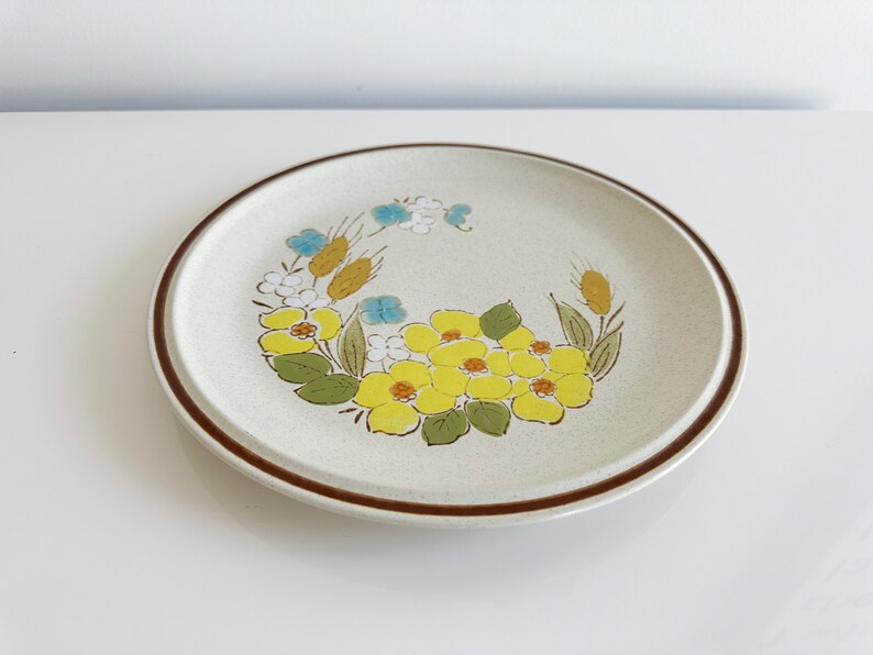 Hearthside Springtime Dinner Plates Floral Expressions Brown Rim ...