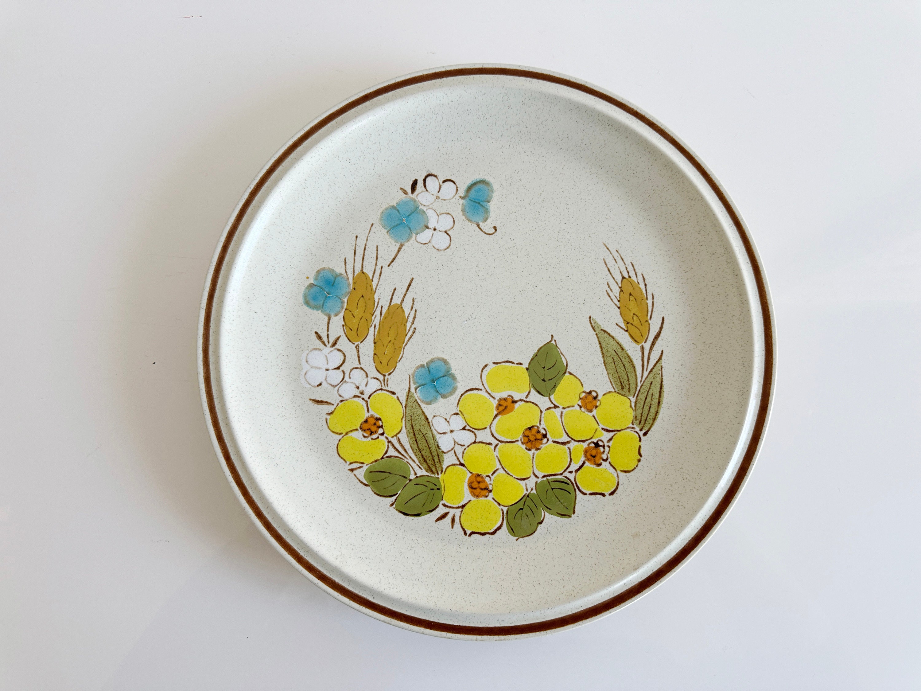 Hearthside Springtime Dinner Plates Floral Expressions Brown Rim ...