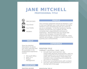 US Federal Resume Template for Word & Google Docs USAJOBS Application ...