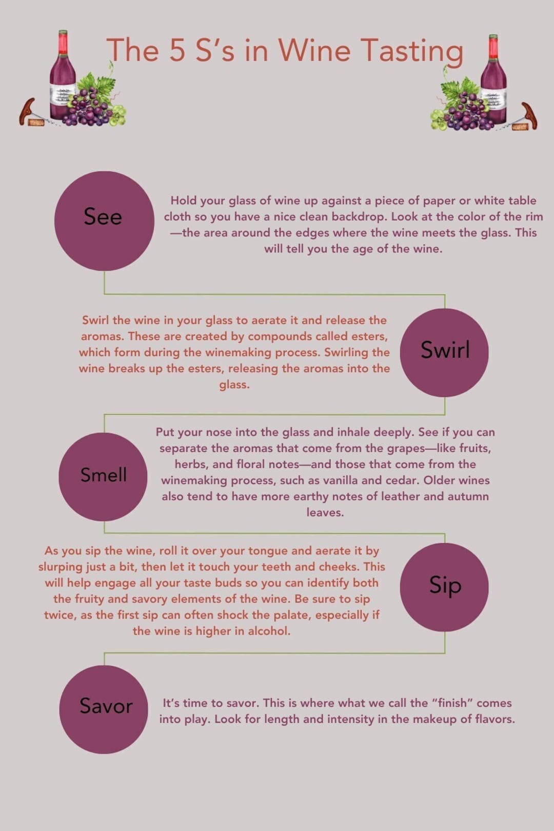 Wine Tasting Tips, Party Games, Printable, Instant Download - Etsy
