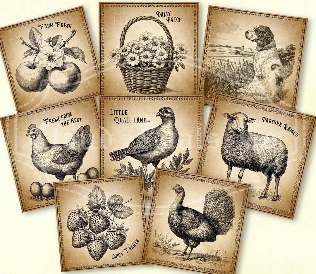 Vintage Farmhouse Labels, Printable Rustic Squares (digital Download ...