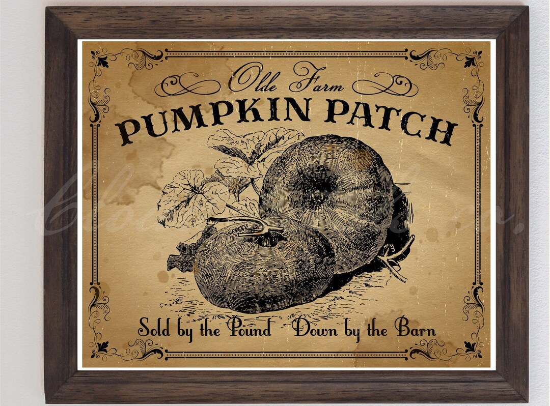 Vintage Pumpkin Patch Sign, Fall Farmhouse Pumpkin Printable, Primitive ...