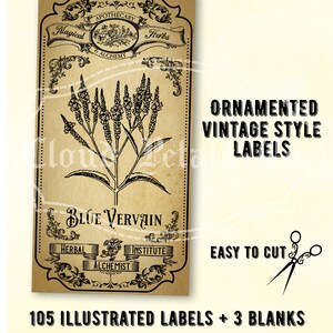 Vintage Apothecary Labels, Witchcraft Herbs, Botanical Spices (digital ...