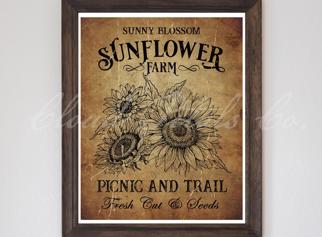 Sunflower Farmhouse Sign, Vintage Sunflower Farm Printable, Sunflower ...