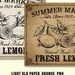 Vintage Lemon Farm Fresh Sign Printable, Lemon Sign Wall Art Print ...
