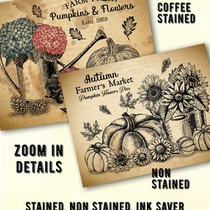 Vintage Pumpkin & Flowers Sign Printable, Thanksgiving Pumpkin Tags ...