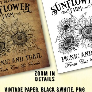 Sunflower Farmhouse Sign, Vintage Sunflower Farm Printable, Sunflower ...
