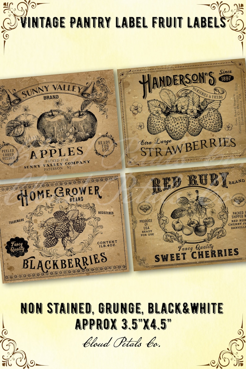 Vintage Fruit Labels: Apple, Cherry, Strawberry, Blackberry (digital ...