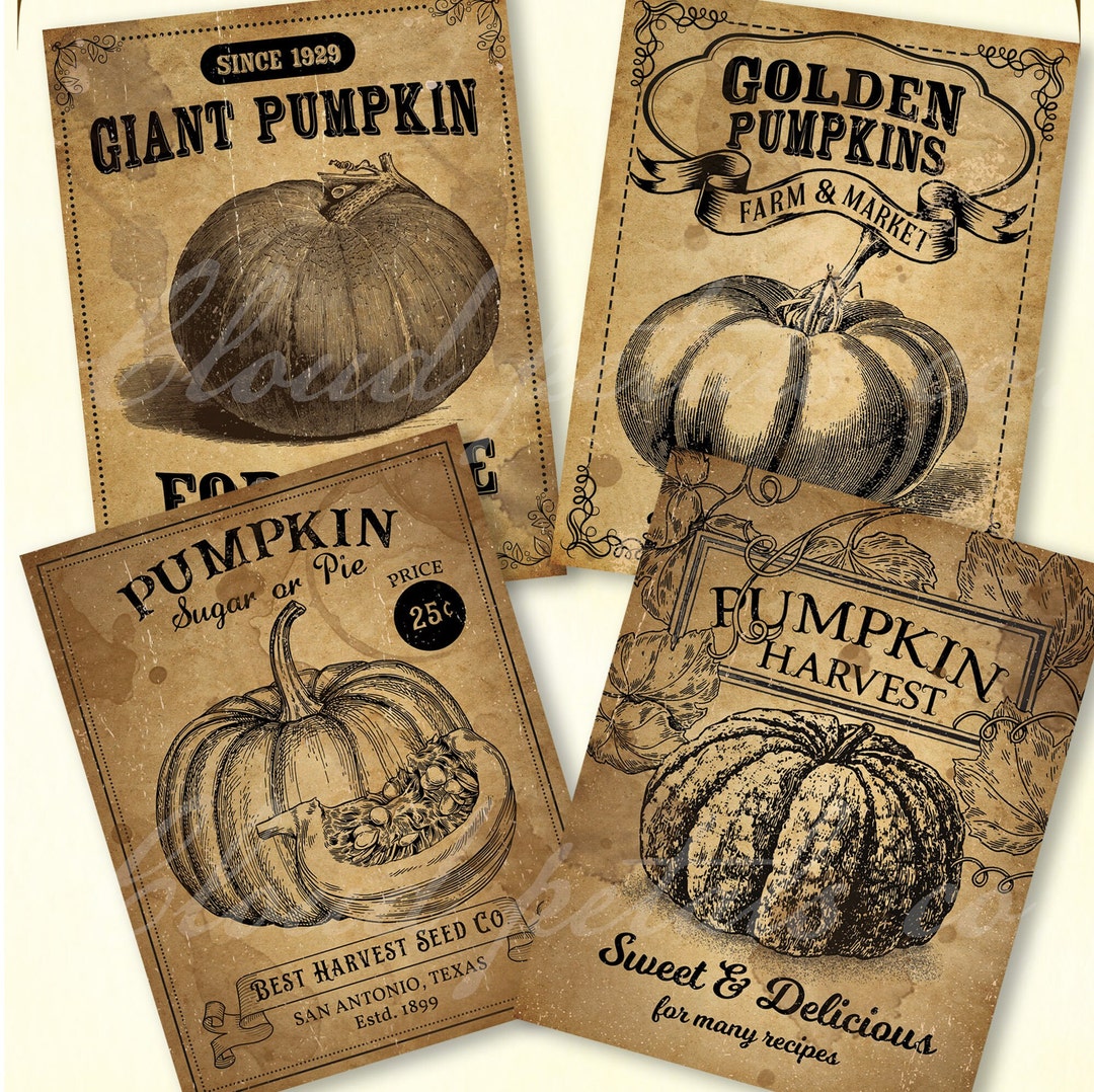 Vintage Pumpkin Printable, Fall Autumn Printable, Pumpkin Clipart ...