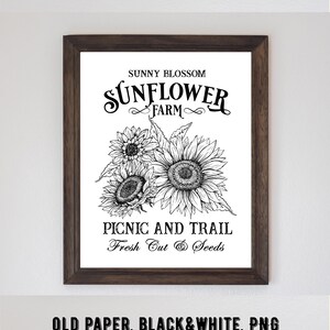 Sunflower Farmhouse Sign, Vintage Sunflower Farm Printable, Sunflower ...