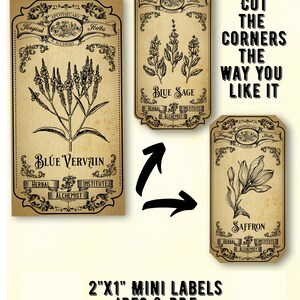 105 Vintage Apothecary Labels, Witchcraft Herbs, Mini Jar Labels ...