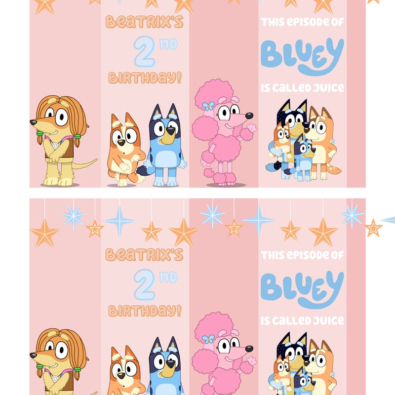 Bluey Juice Box Birthday - Etsy