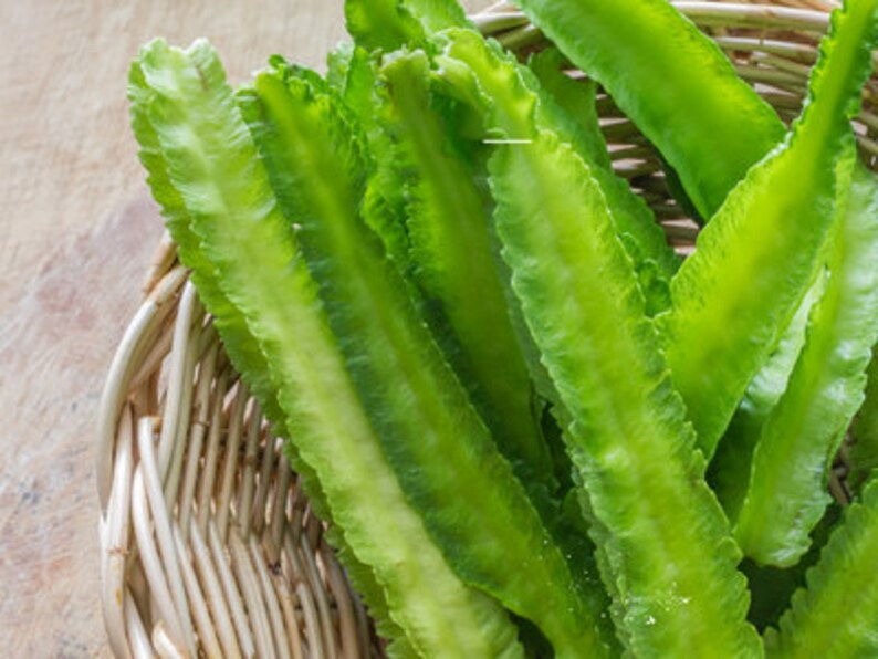 Winged Bean Dau Rong - Etsy