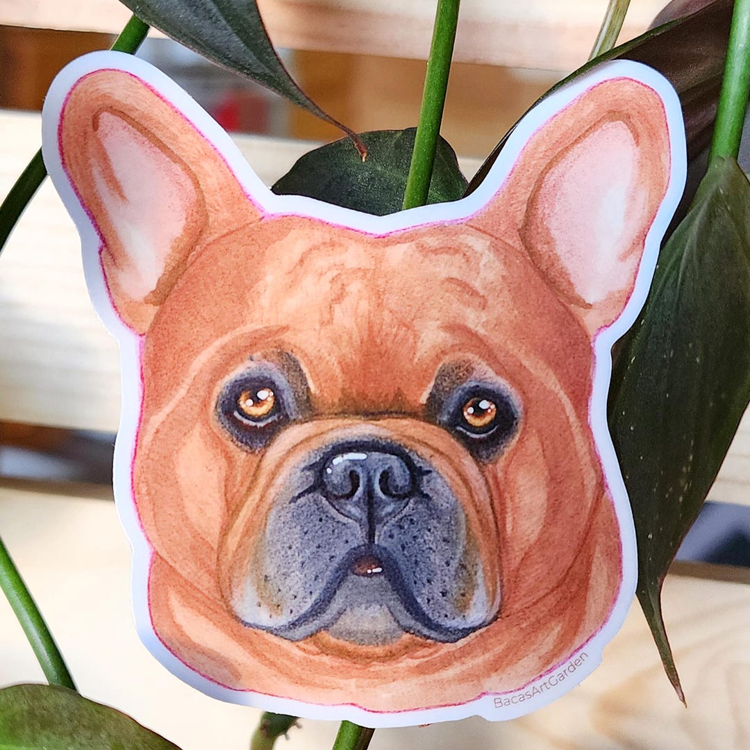 Frenchie Hand Drawn Sticker | Original Art Vinyl Sticker | Cute Dog ...