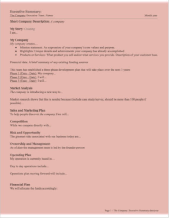 Executive Summary Template Microsoft Word 0620