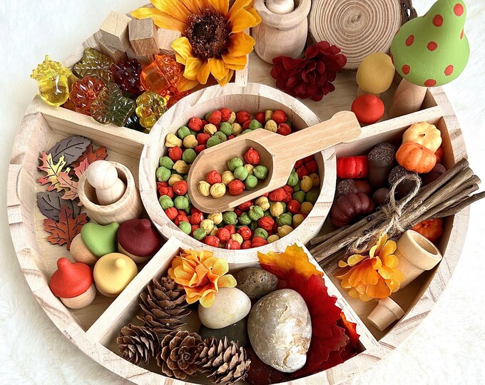 Fall Sensory Bin Loose Parts Tinker Tray, Montessori Toy, Sensory Kit ...