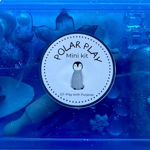 Sensory Kit Arctic Sensory Kit Polar Playdough Kit Custom Gift Toddler ...