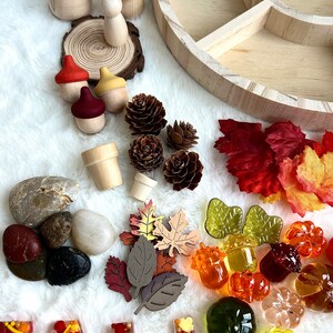 Fall Sensory Bin Loose Parts Tinker Tray, Montessori Toy, Sensory Kit ...