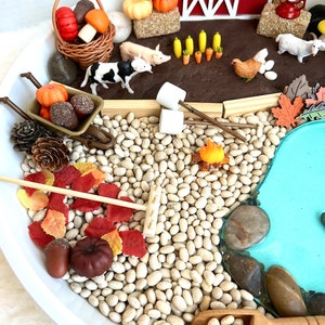 Fall Sensory Bin, Farm Sensory Tray, Montessori Messy Play, Loose Parts ...