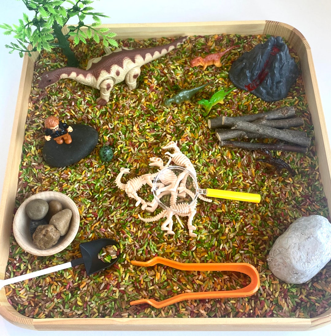 Dinosaur Sensory Bin Montessori Play Kit Sensory Toy Toddler Gift ...