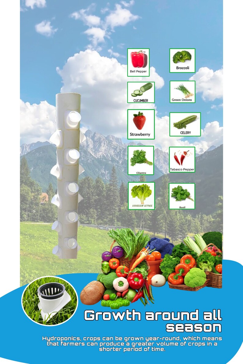 Ultimate Hydroponic Set Get Attachednet Pots for 4 Inch - Etsy