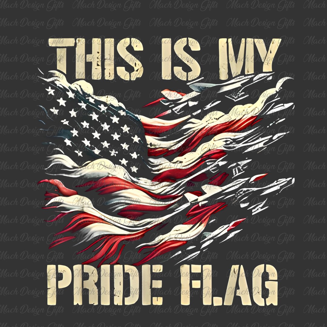 This is My Pride Flag Png, American Pride Png, 4th of July Png, USA ...