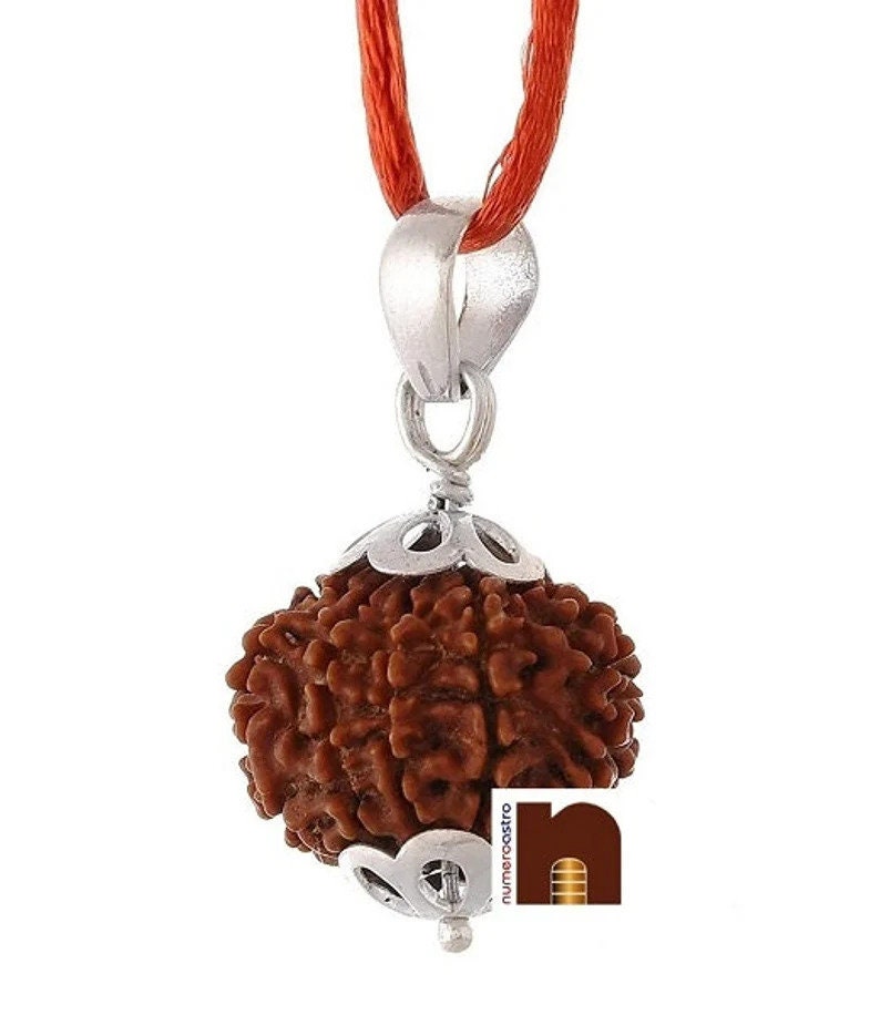 100% Genuine 2 to 10 Mukhi Rudraksha, Nepal Beads Rudraksha Certified A ...