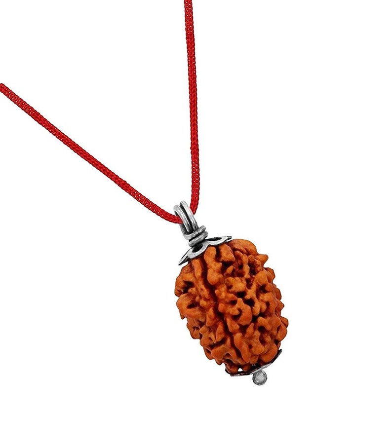 100% Genuine 2 to 10 Mukhi Rudraksha, Nepal Beads Rudraksha Certified A ...