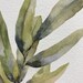 WALL DECAL Set - 28pk Olive Leaf Wall Decals - Nursery Wall Decal ...