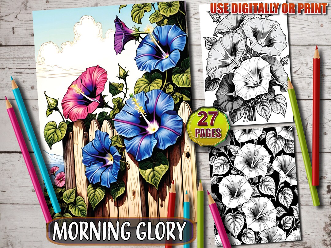 Morning Glory Grayscale Coloring Book: 27 Printable Pages (PDF) - Etsy