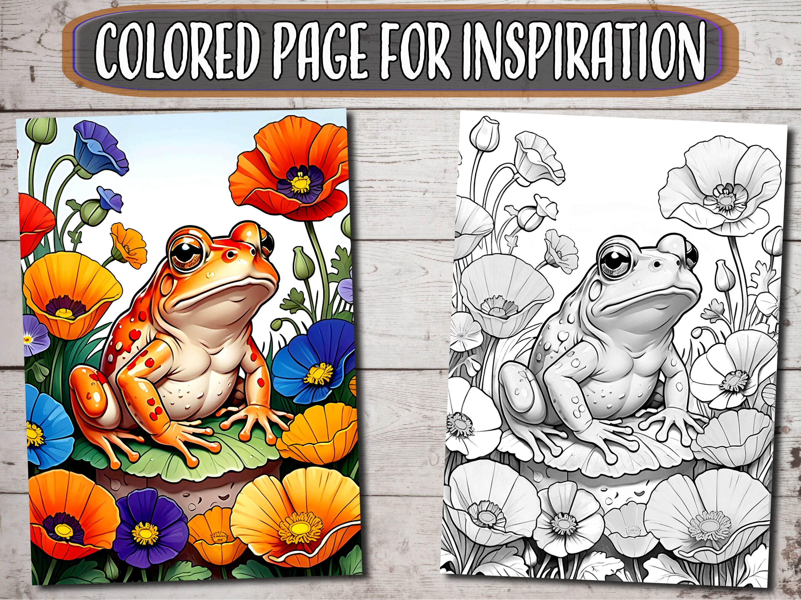 Frogs and Toads Coloring Book, 30 Frogs Cute Coloring Page Book ...