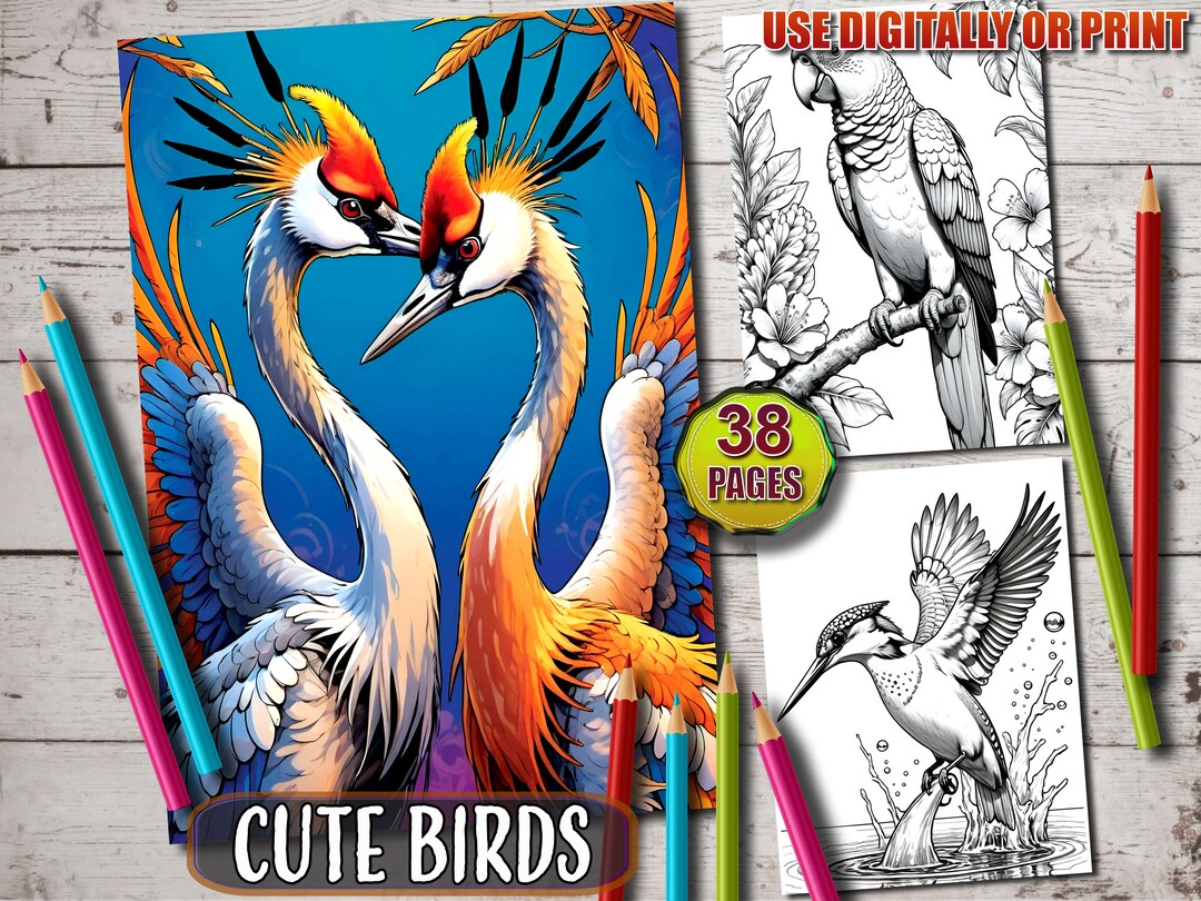 38 Cute Birds Coloring Pages, Exotic Birds Coloring Book, Instant ...
