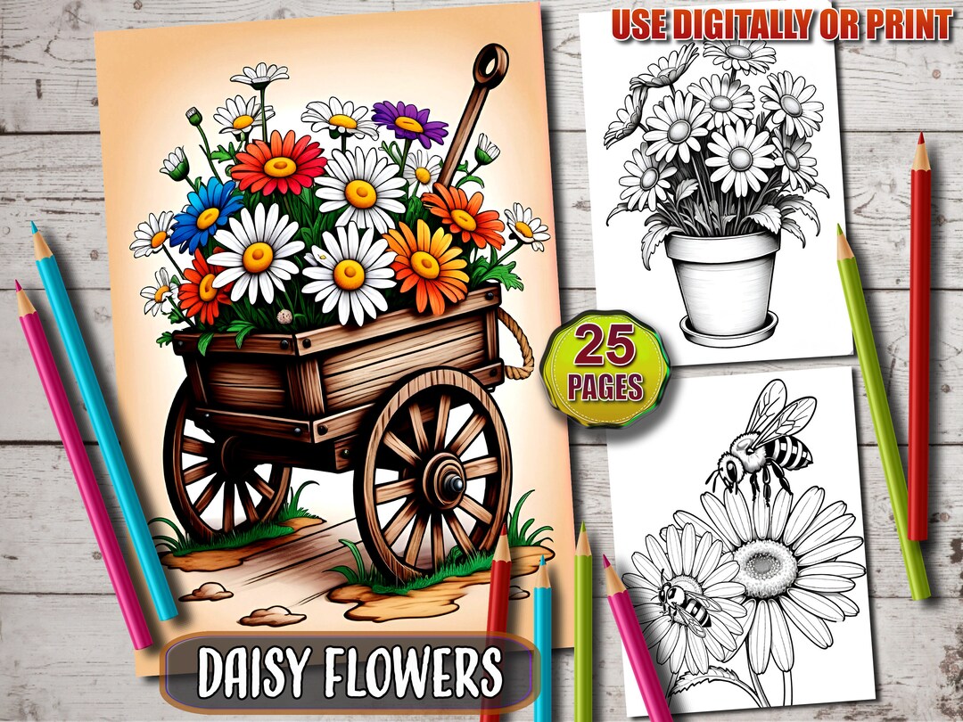 Daisy Flowers Coloring Book, Floral Coloring Pages, Printable Pdf ...