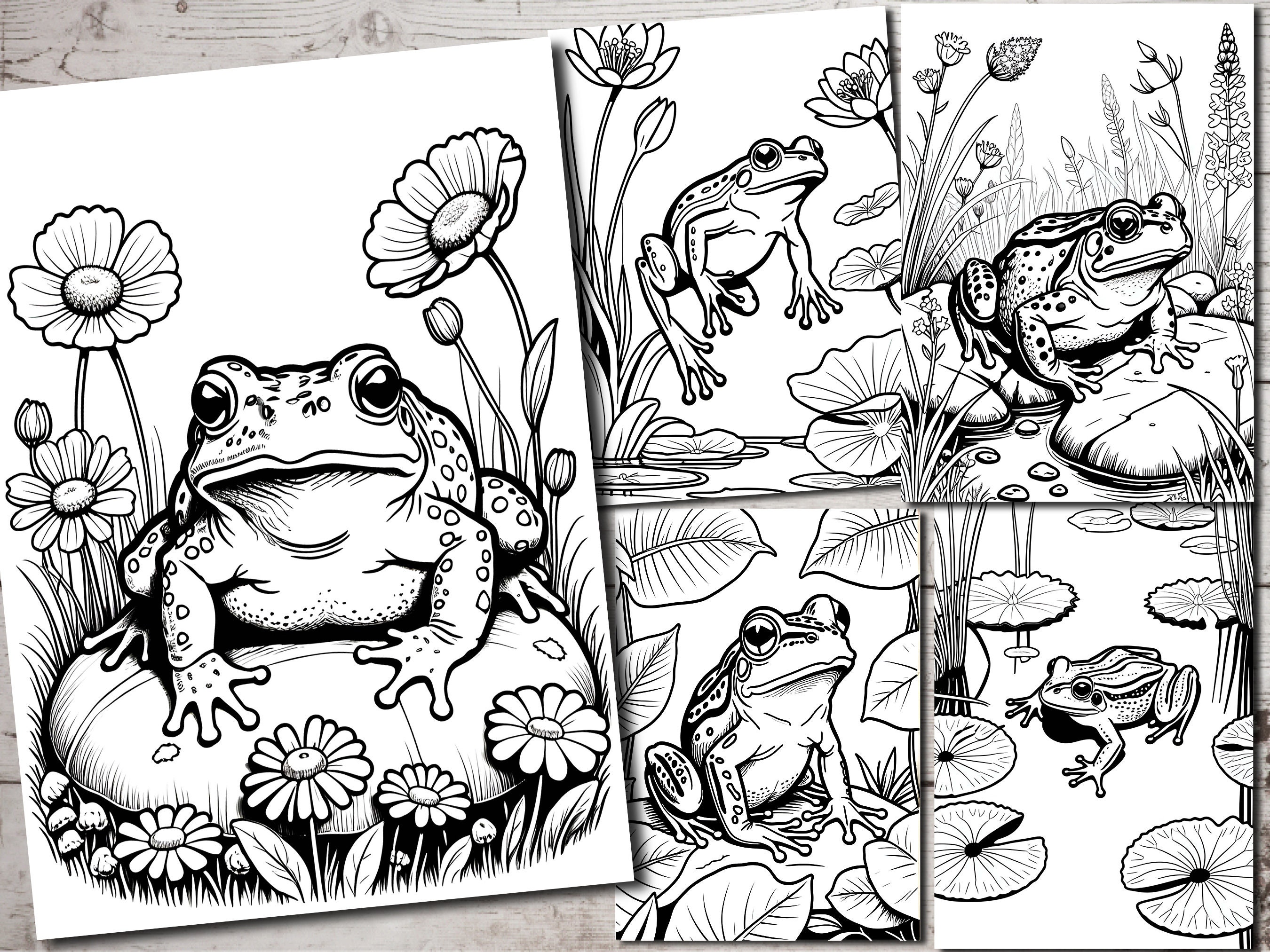 Frogs and Toads Coloring Book, 30 Frogs Cute Coloring Page Book ...