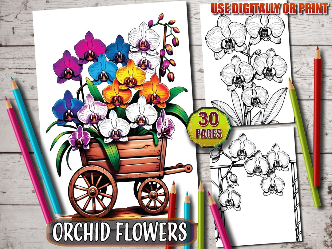 Blooming Orchids Coloring Book: 30 Grayscale Pages (printable PDF) - Etsy