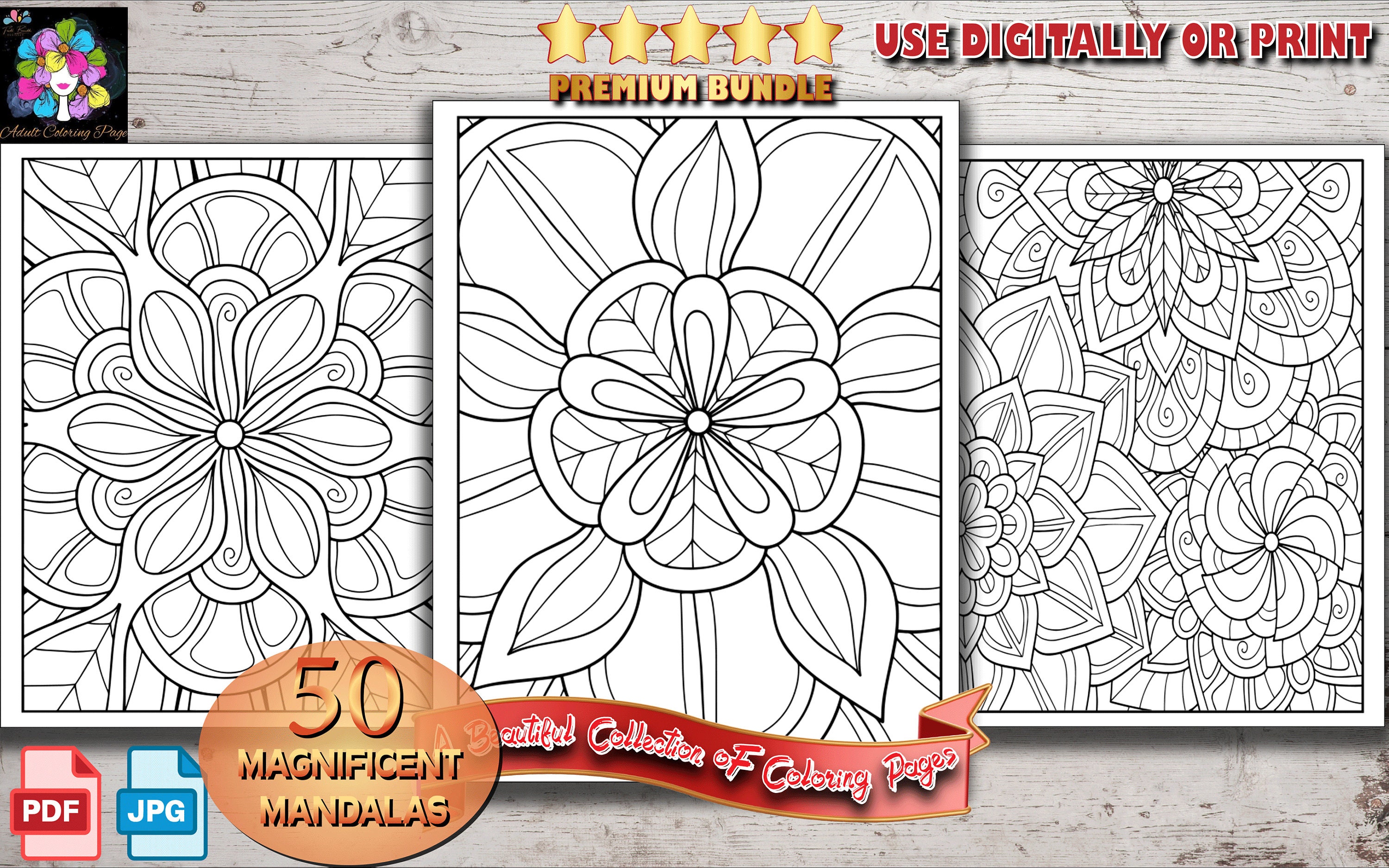 50 Easy Mandalas for Beginners Coloring Pages:50 Amazing Patterns Adult ...