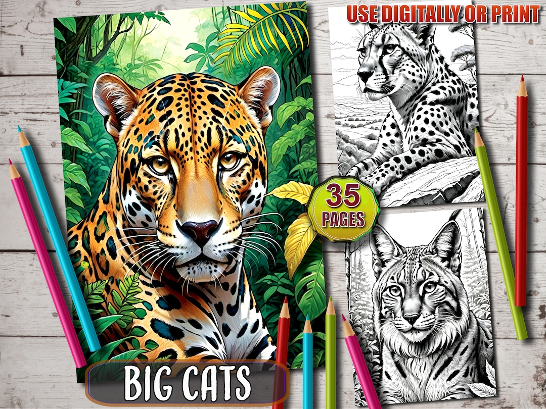 35 Big Cats Coloring Pages, Majestic Big Cats Coloring Book, Instant ...