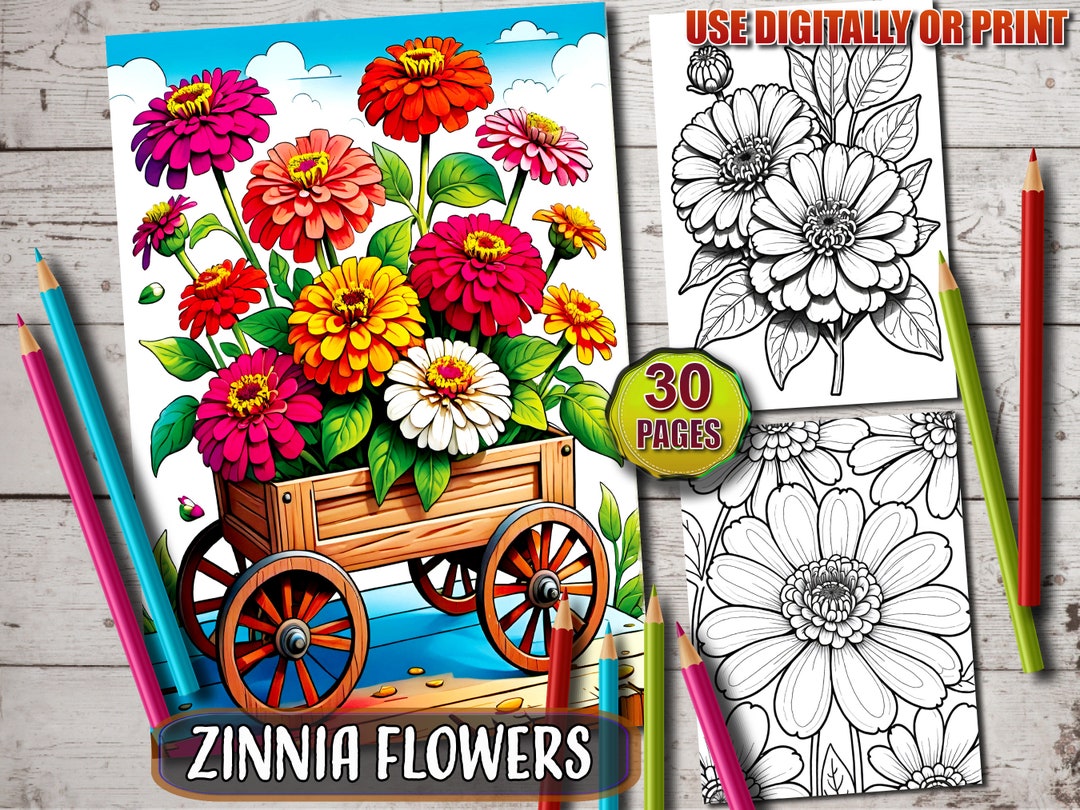 Zinnia Flower Coloring Book: 30 Grayscale Pages (printable PDF) - Etsy
