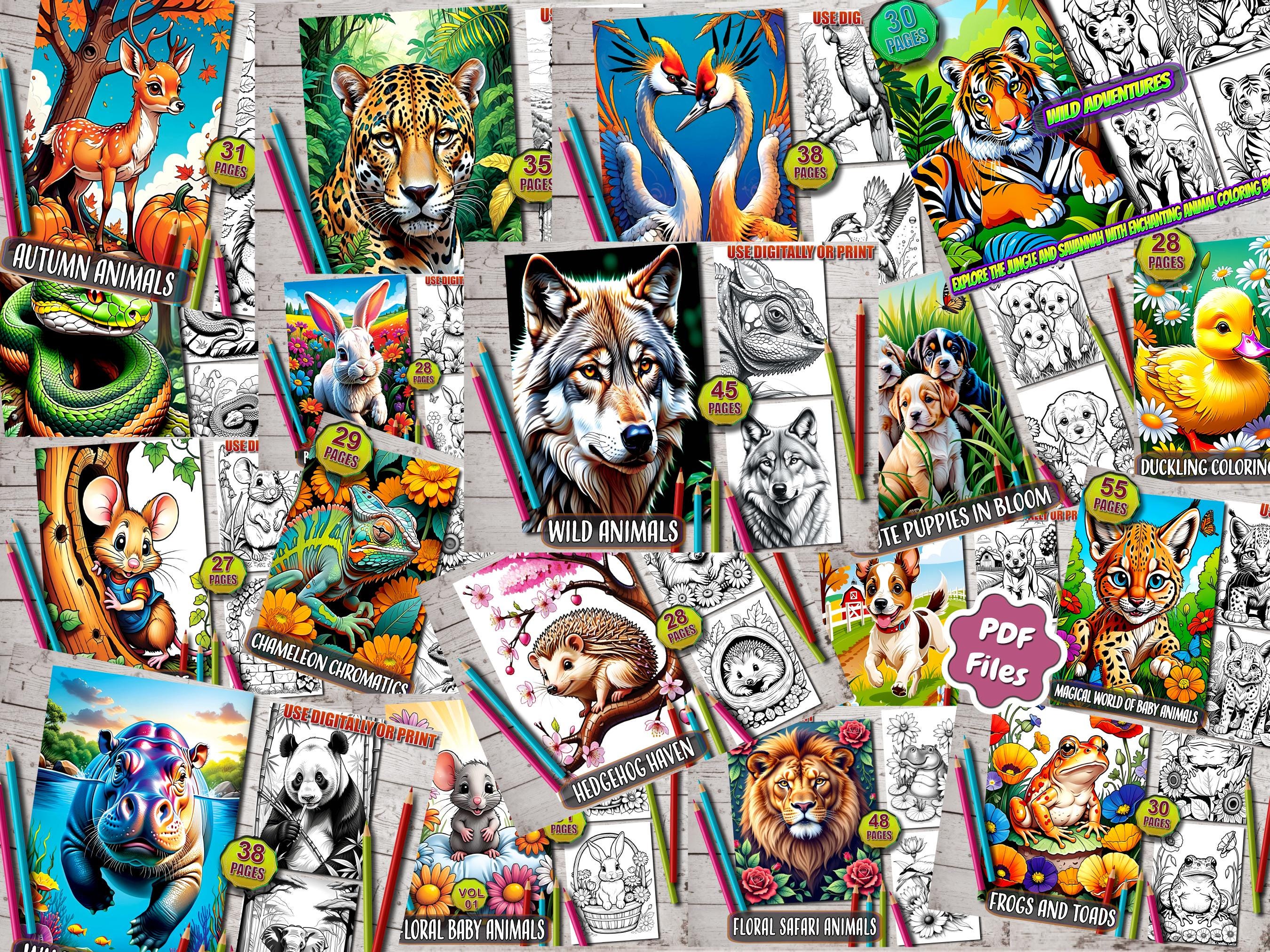 Mega Coloring Book Bundle: 320+ Themes, 10000+ Pages (instant Digital ...