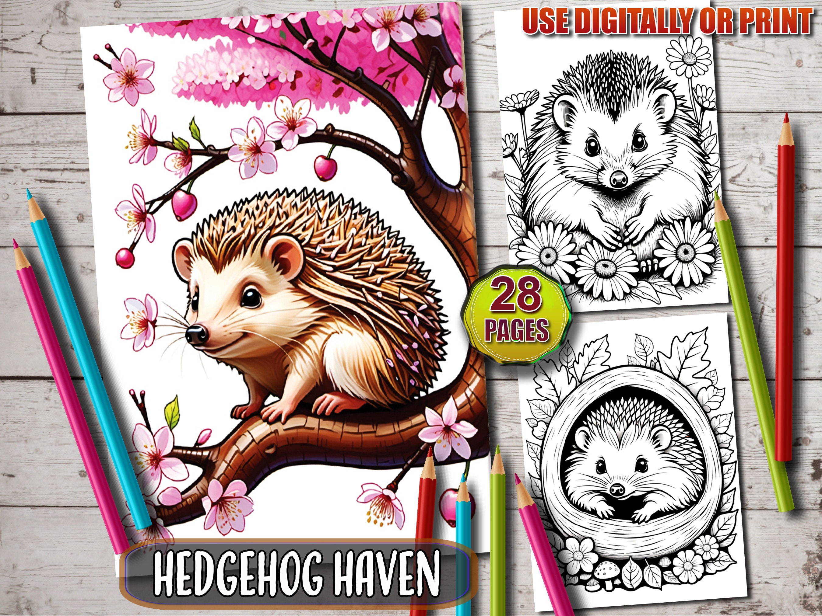 Hedgehog Haven Coloring Book, Printable PDF, Baby Animals Coloring ...