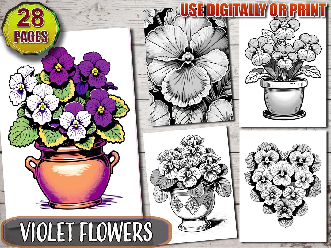 Violet Flowers Coloring Book , Instant Download Coloring Book ...