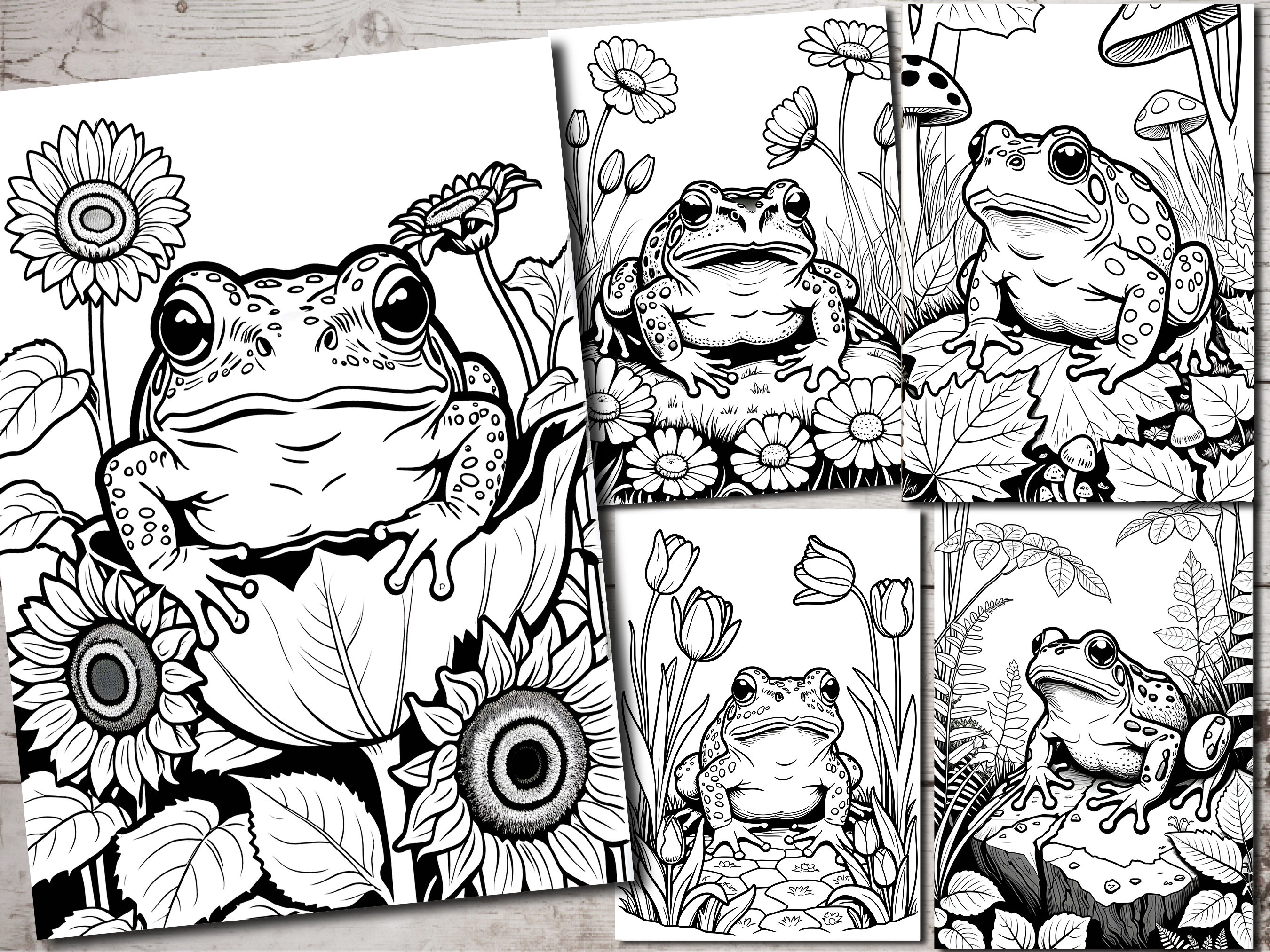 Frogs and Toads Coloring Book, 30 Frogs Cute Coloring Page Book ...