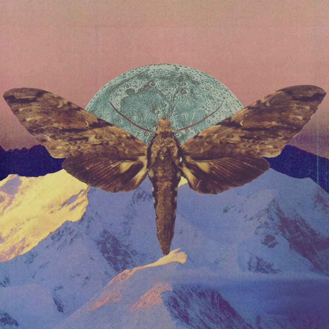 Collage moth Moon - Etsy