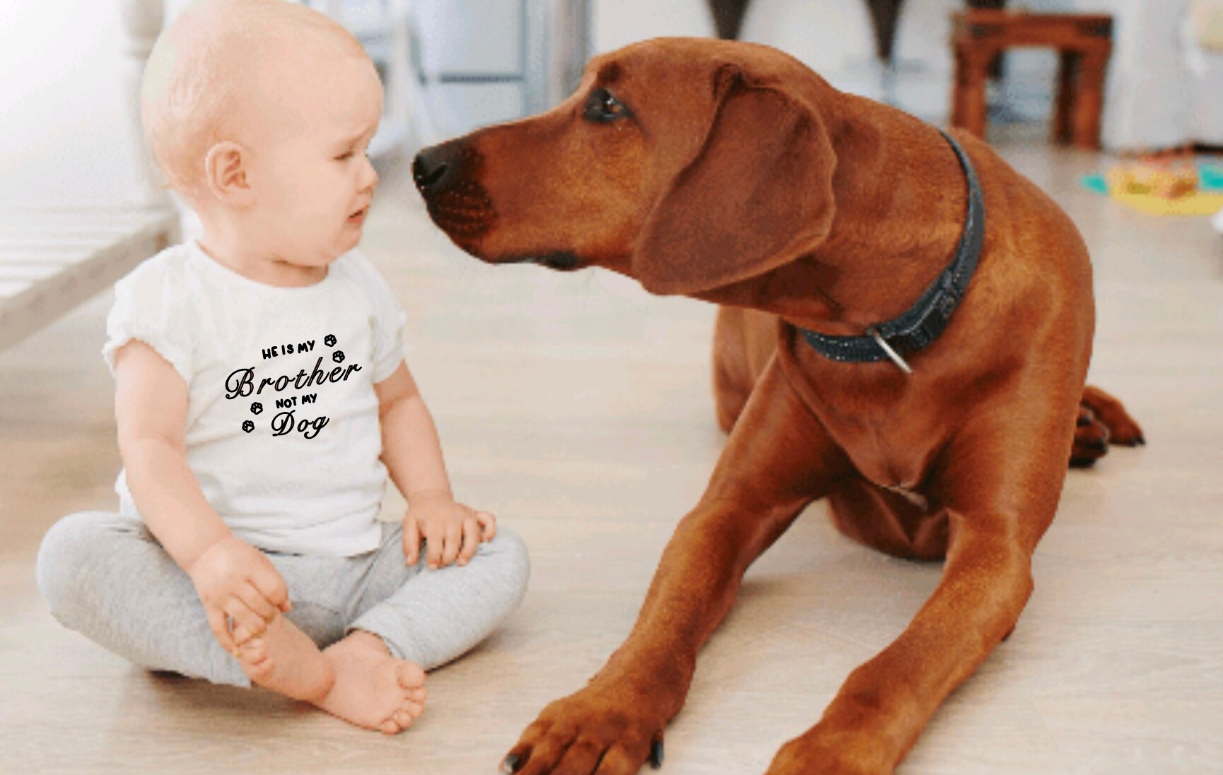 SVG / JPG / PNG / Digital Download / Dog / Brother / Sister - Etsy