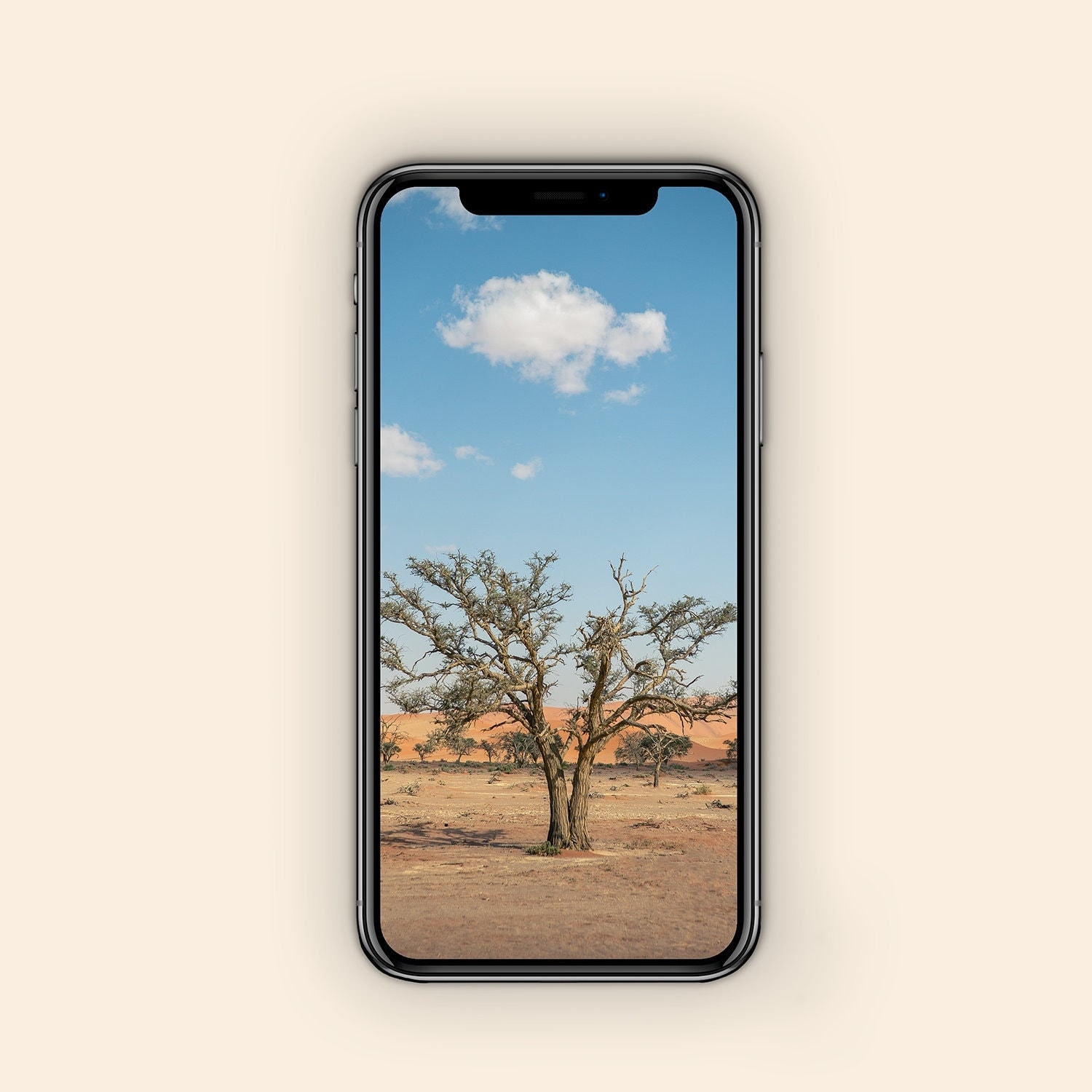 Tree iPhone Wallpaper Tree Smartphone Wallpaper Tree Mobile Wallpaper ...