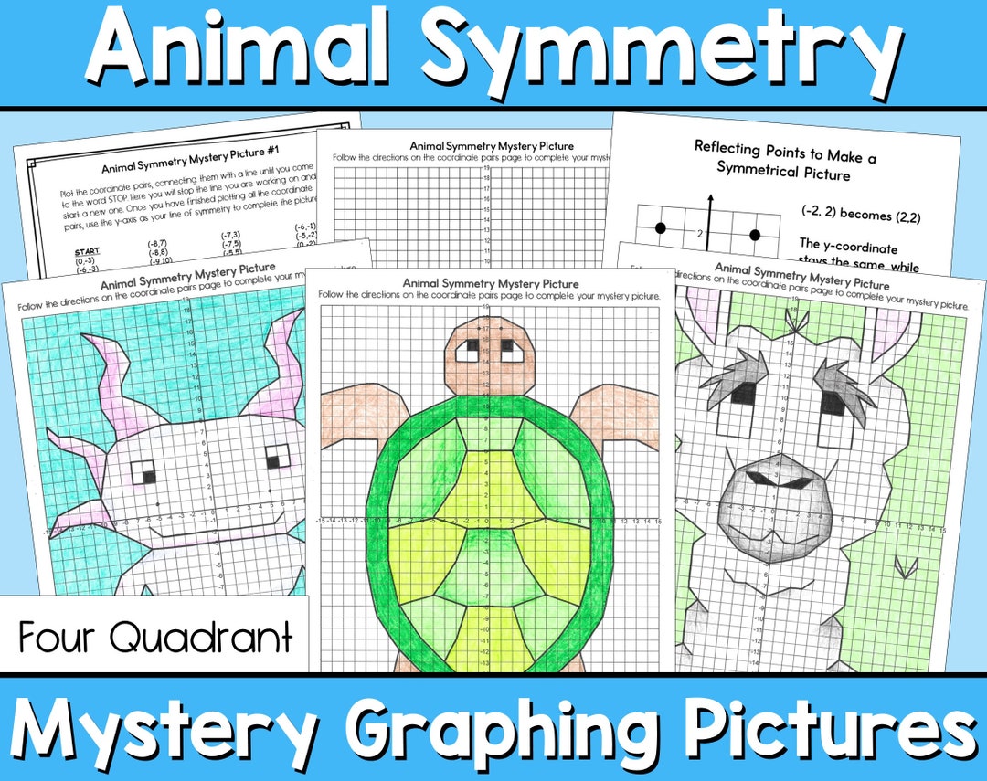 Animal Coordinate Plane Graphing Pictures Symmetry Activity - Etsy