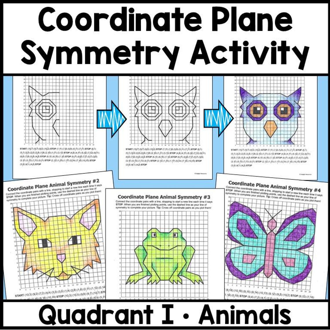 Animal Symmetry Coordinate Plane Mystery Picture Math Graphing Activity ...