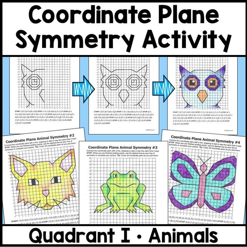 Animal Symmetry Coordinate Plane Mystery Picture Math Graphing Activity ...